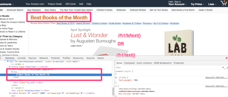 Xpaths in Web Scraping and their relevance